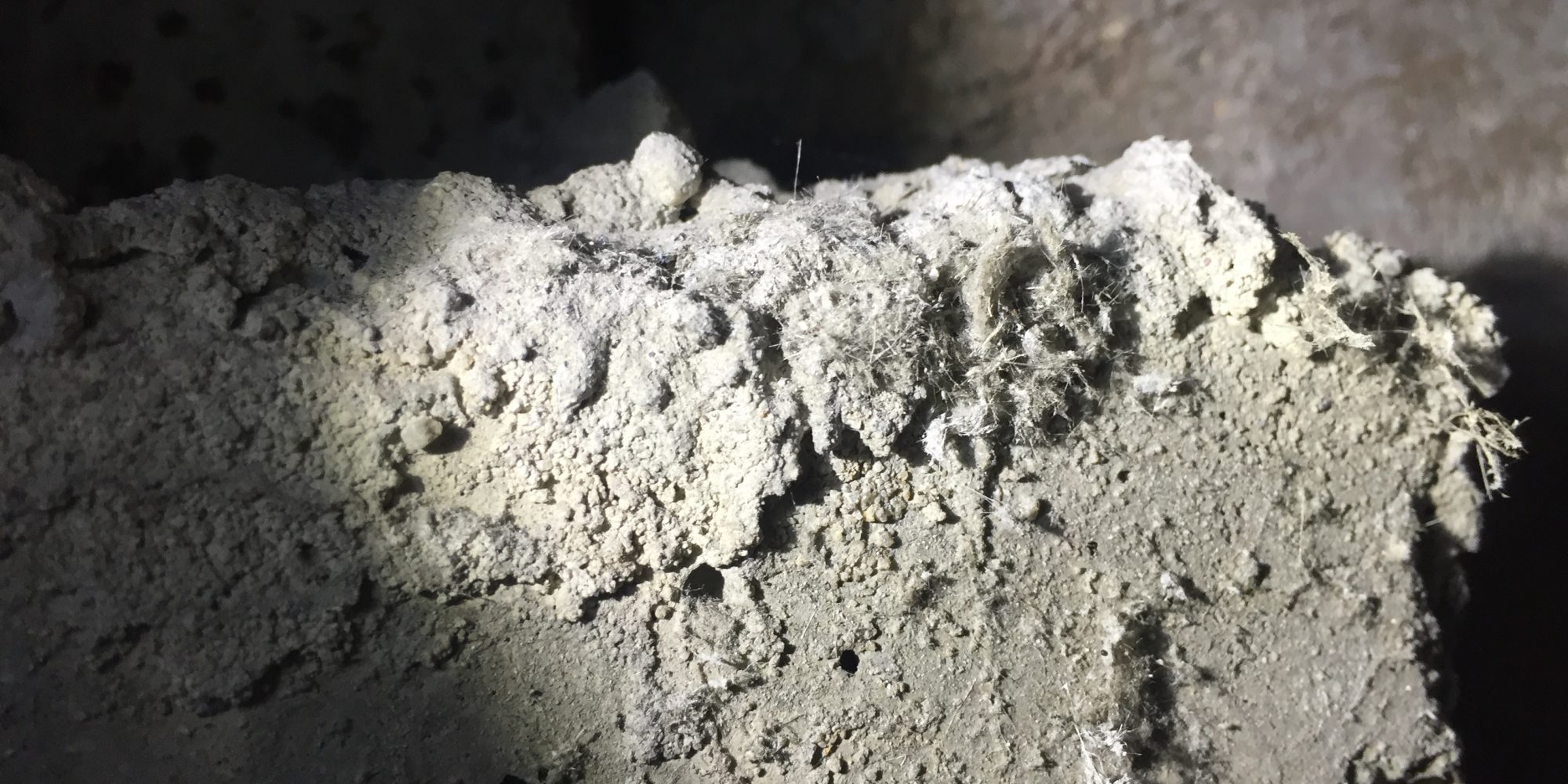 Elizabeth Arcade | Douglas Partners